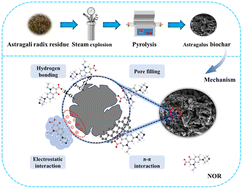 Enhancing wastewater treatment: a study on steam explosion-biochar ...