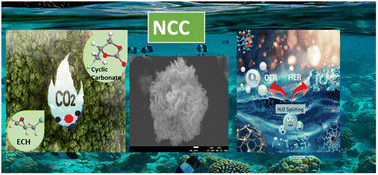 Dual-functional Ni and Co oxide-doped carbon nanocomposite: an ...