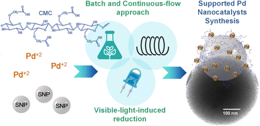 Photochemical synthesis of Pd nanocatalysts stabilized by biomass ...