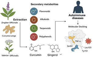 Extraction of secondary metabolites and computational prediction of ...