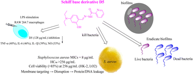 A novel strategy for nephritis-associated infections: dual ...