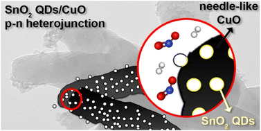 SnO2 quantum dot decoration of CuO nanoparticles with enhanced NO2 and ...