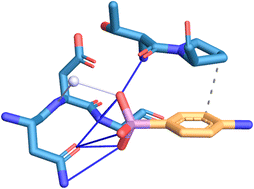 Interplay between geometry, electron density, and polarizability of the ...