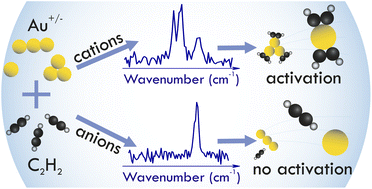 Charge and size effects in π-ligand activation: an IR spectroscopic ...
