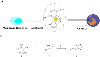 Dual-functional molecule 3c targeting CYP24A1-mediated 25 ...