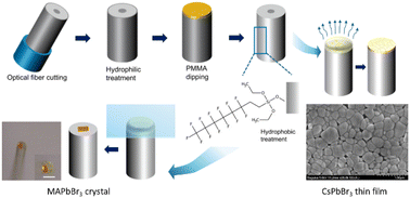 In situ growth of halide perovskite crystals and thin films on optical ...