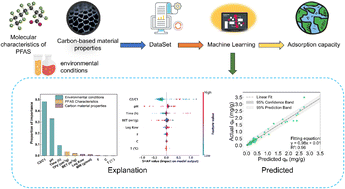 Machine learning-based prediction and mechanistic insight into PFAS ...
