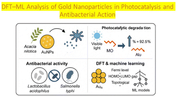 Photocatalytic dye degradation and antibacterial activity of gold ...
