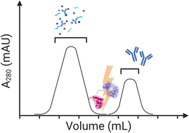 Chromatography's evolution, unlocking affinity's new solution ...