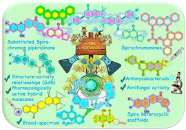 Kabbe condensation: a comprehensive review of spirochromanone synthesis ...