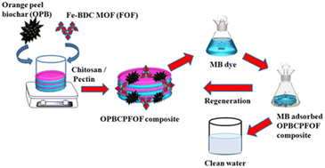 Recyclable biopolymer encapsulated orange peel biochar embedded iron ...