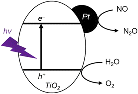 Photocatalytic evolution of nitrous oxide from nitric monoxide over Pt ...