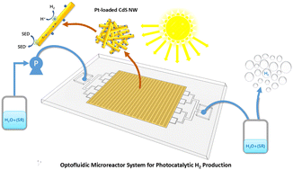 A scalable optofluidic microreactor with immobilized Pt–CdS catalysts ...