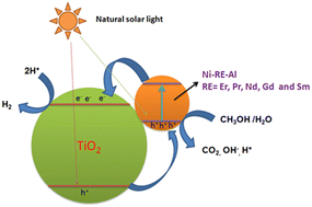 Promotional effect of rare earth (Er, Pr, Nd, Gd and Sm) metals on the ...