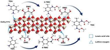 Nanostructured CeO2 with different morphologies for ...
