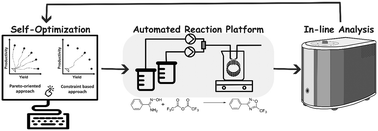 Autonomous flow reaction optimization guided by NMR spectroscopy and ...
