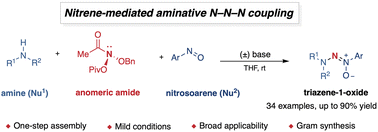 Nitrene-mediated aminative N–N–N coupling: facile access to triazene 1 ...