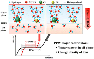 Polarizable potential window at soft molecular interfaces as a ...