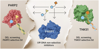 Widespread false negatives in DNA-encoded library data: how linker ...