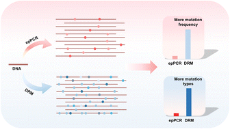 Deaminase-driven random mutation enables efficient DNA mutagenesis for ...