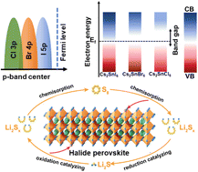 Insights into the halogen-induced p-band center regulation promising ...