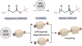 Sequence-defined peptoids via iterative exponential growth - Chemical Science (RSC Publishing)