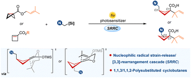 Synthesis of polysubstituted cyclobutanes through a photoredox strain ...