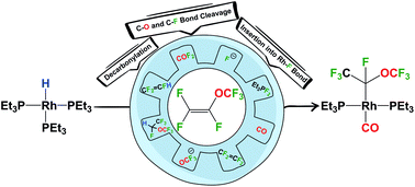 Activation of perfluoro(methyl vinyl ether) at Rh(i) complexes: metal ...