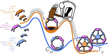 Structural control of dynamic covalent cages: kinetic vs. thermodynamic ...