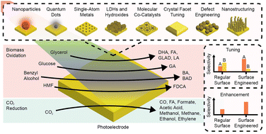Surface engineering strategies for selectivity tuning and enhancement ...