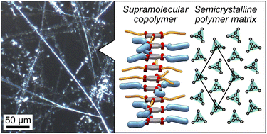 Biasing the polymorphism of a semicrystalline covalent polymer by ...