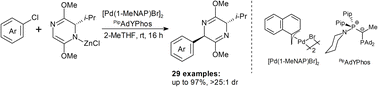 Diastereoselective arylation of bis-lactim ethers catalyzed by N ...