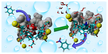 Carboxylato-prism[6]arene as a supramolecular catalyst in water: exploiting its deep hydrophobic ...