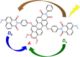 Simulation of ultrafast transient absorption spectra of a perylene ...