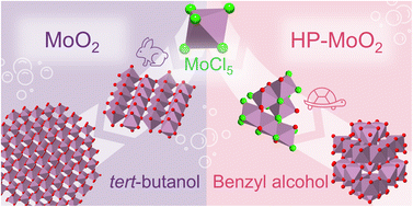 Mechanistic insights into solvent-guided growth and structure of MoO2 ...