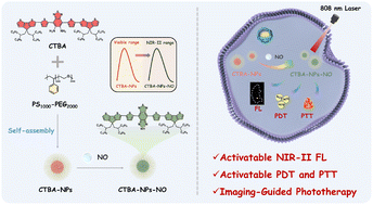 Nitric oxide-activatable NIR-II organic small molecule for fluorescence ...