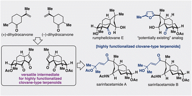 A unified approach to highly functionalized clovane-type terpenoids ...