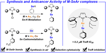 A new generation of N-heterocyclic carbene (NHC) gold–selenolato ...