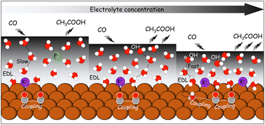 Atomic insights into how electrolyte concentration controls CO ...