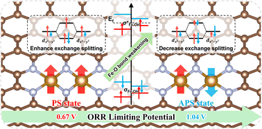 The spin-coupling-dependent oxygen reduction mechanism in dual-atom ...