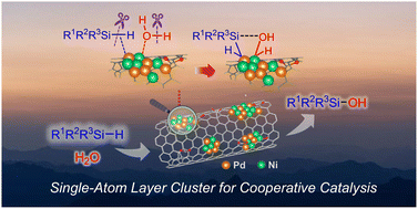 Design and synthesis of single-atom layer bimetallic clusters for ...