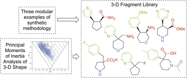Design, modular synthesis and screening of 58 shape-diverse 3-D ...