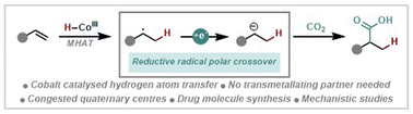 Inverting polarity in a cobalt MHAT reaction via reductive catalytic ...