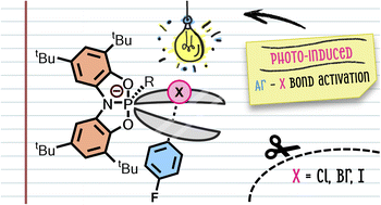 Photochemical activation of pincer-ligated phosphoranides: mechanistic ...