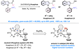 Bulky alkali metal cations enabled highly efficient iridium-catalyzed ...