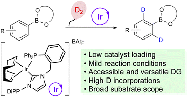 Widely-used boronic esters as synthetically-versatile directing groups ...
