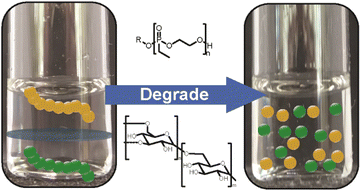 Degradable polyphosphoester-based aqueous two-phase systems and water ...