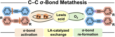 Direct metathesis of carbon–carbon σ-bonds at a versatile macrocycle ...