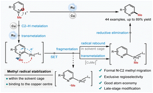 Ortho-Methylation of pyridine via intramolecular N-methyl migration ...