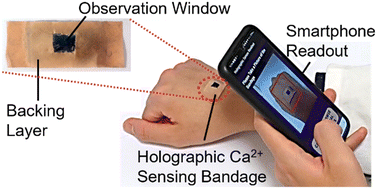 Holographic hydrogel bandage sensor for continual monitoring of wound ...